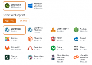 Create or Upgrade AWS Lightsail Server CPU, Storage Disk and Memory – TutorialsJoint